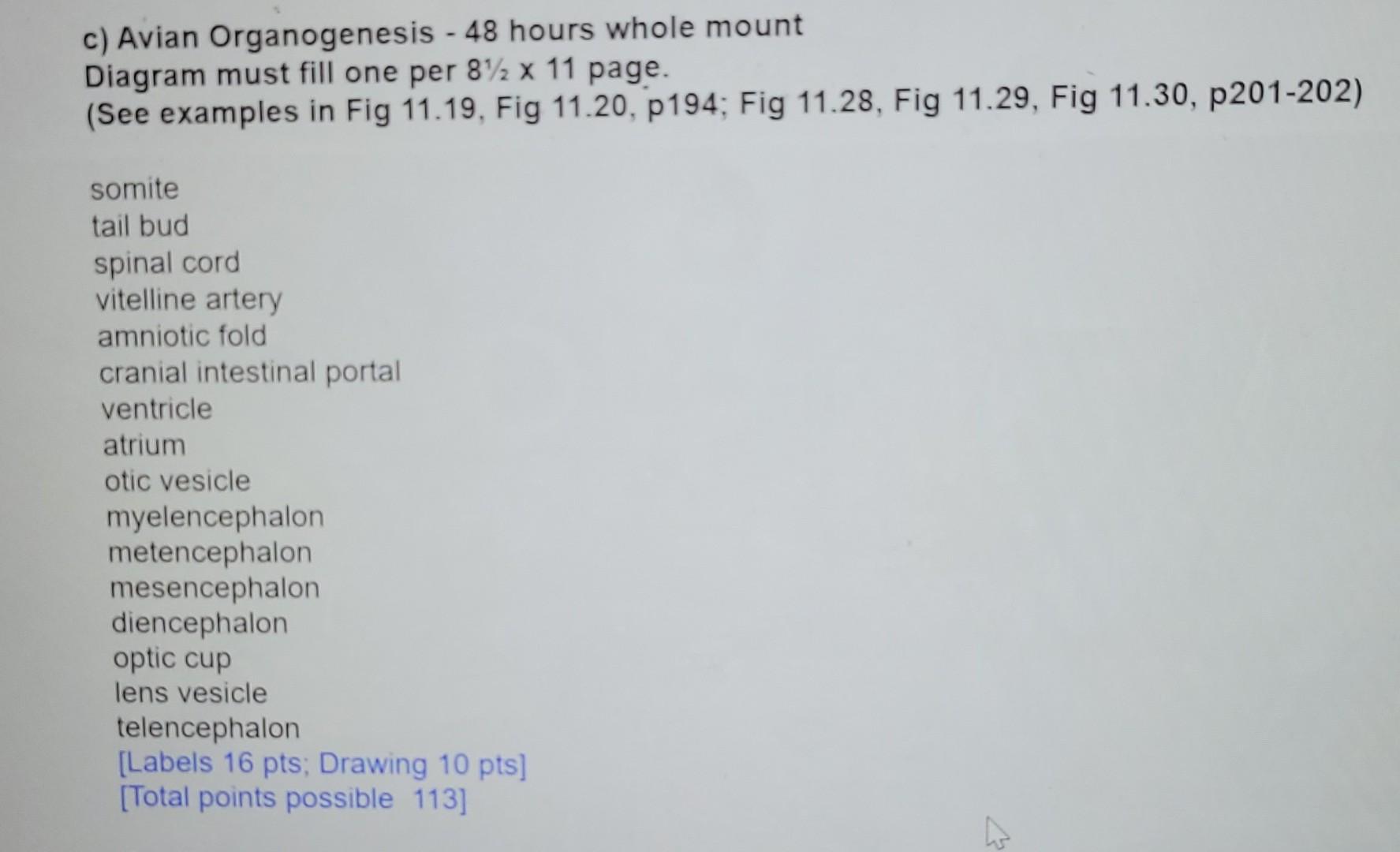 #2 Draw and label the following stages of Avian | Chegg.com