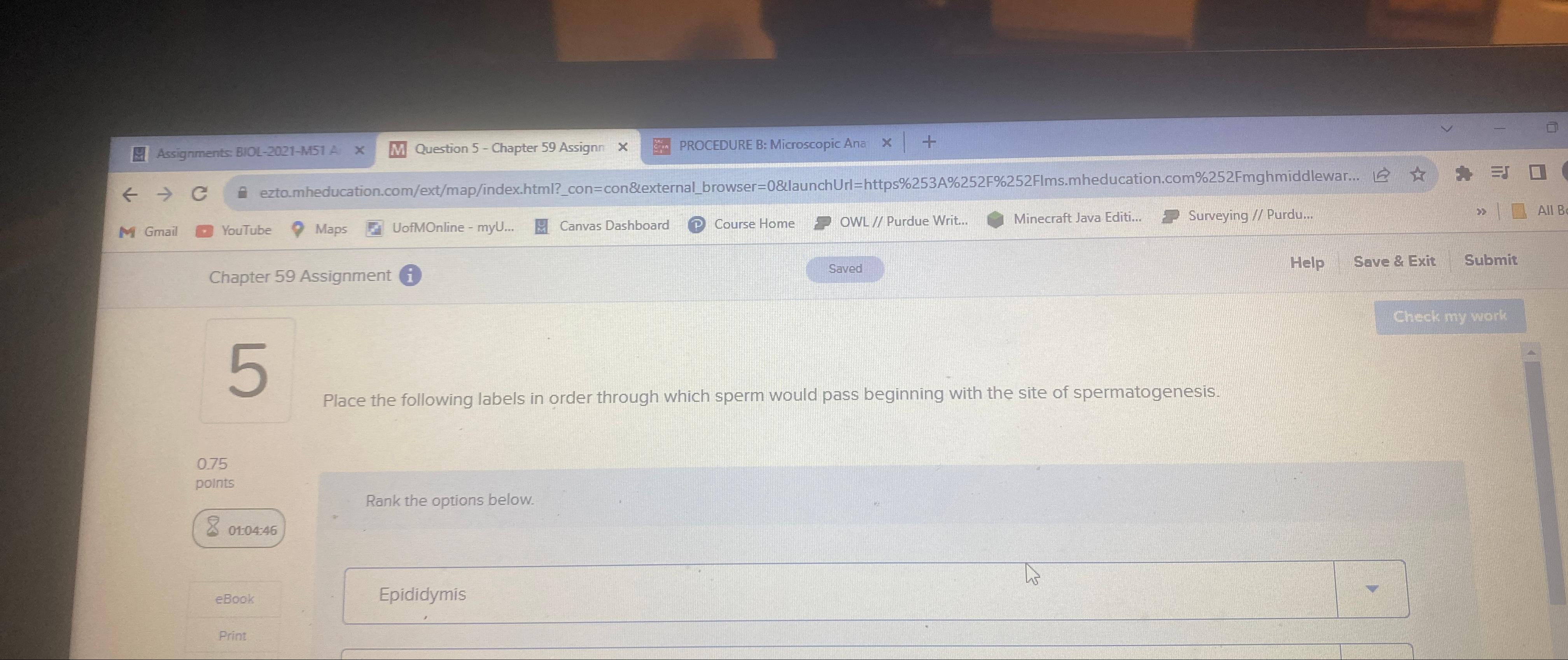 Solved Place the following labels in order through which | Chegg.com