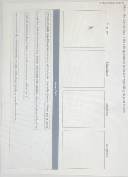 Macmillan Learning Match the descriptions of the cell | Chegg.com
