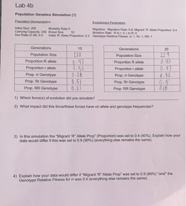 Lab 4b Population Genetics Simulation (1) Population | Chegg.com