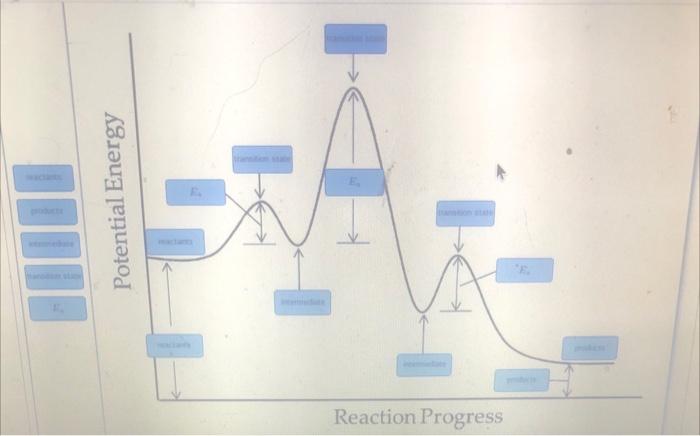 Solved i labeled 2 wrong dont know which: word bank | Chegg.com