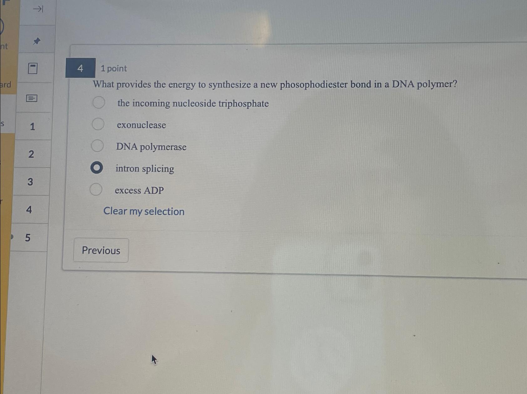 Solved 41 ﻿pointWhat provides the energy to synthesize a new | Chegg.com