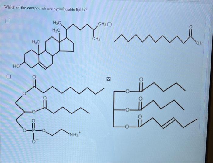 Solved Which of the compounds are hydrolyzable lipids? Н.С. | Chegg.com