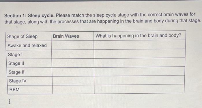 Solved Section 1: Sleep cycle. Please match the sleep cycle | Chegg.com
