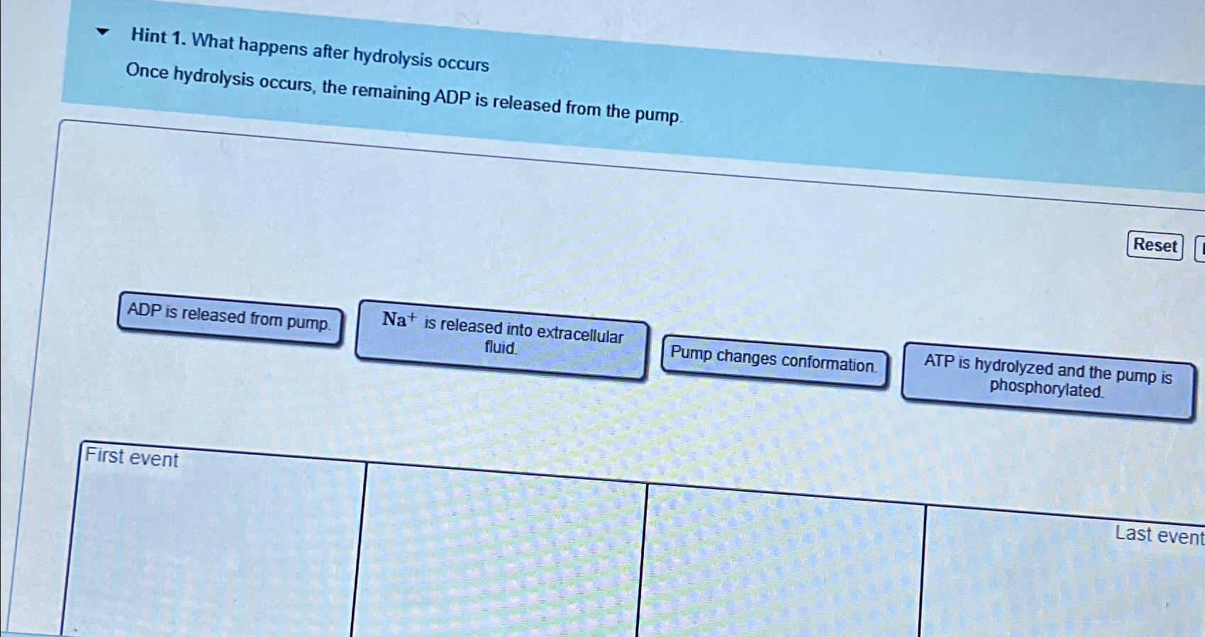 Solved Hint 1. ﻿What happens after hydrolysis occursOnce | Chegg.com