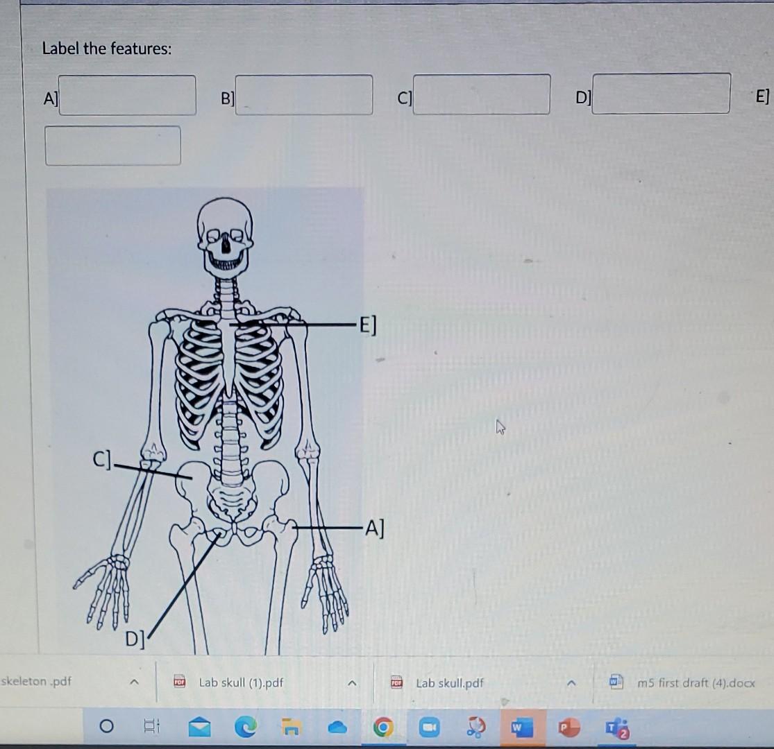 Solved Label the features: | Chegg.com