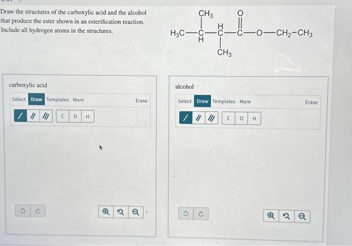 Solved Draw the structures of the carboxylic acid and the | Chegg.com
