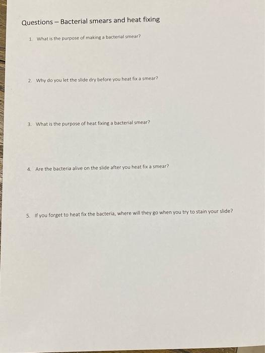 Solved Questions - Bacterial smears and heat fixing 1 What | Chegg.com