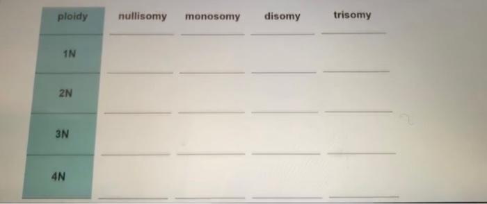 Solved 4N Fill out the table using data for an N=20 | Chegg.com