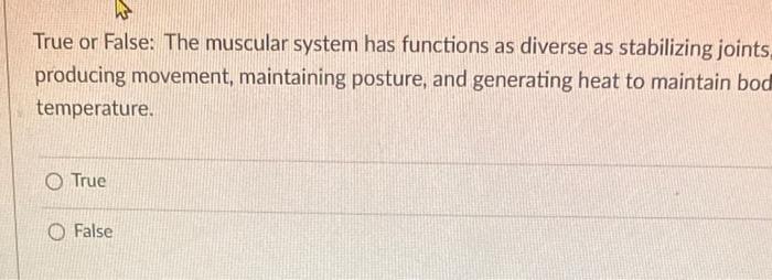 Solved True or False: The muscular system has functions as | Chegg.com