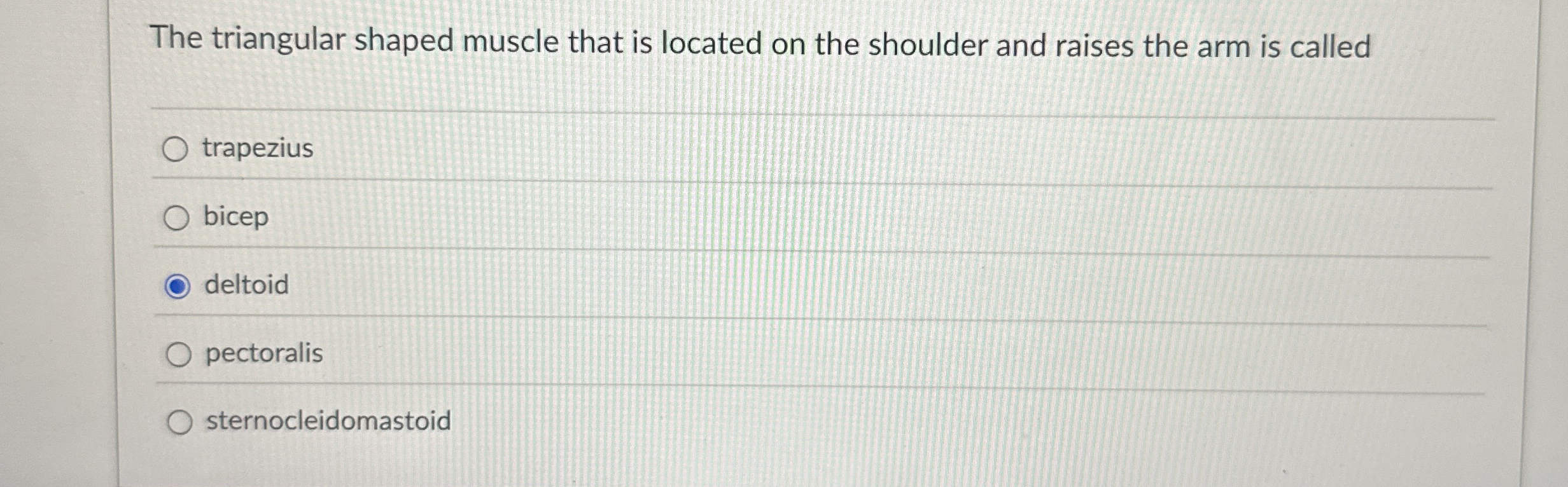Solved The triangular shaped muscle that is located on the | Chegg.com