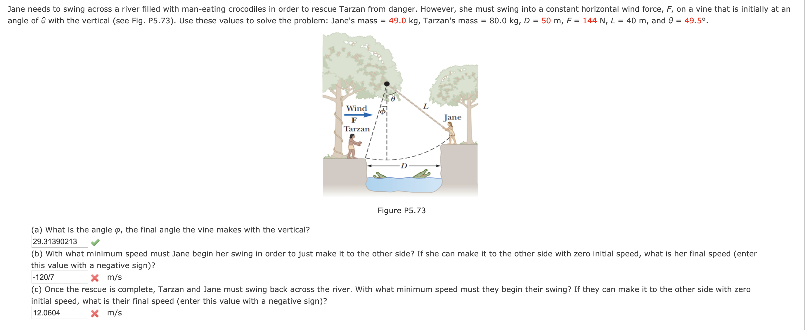 Solved (a) ﻿What is the angle φ, ﻿the final angle the vine | Chegg.com