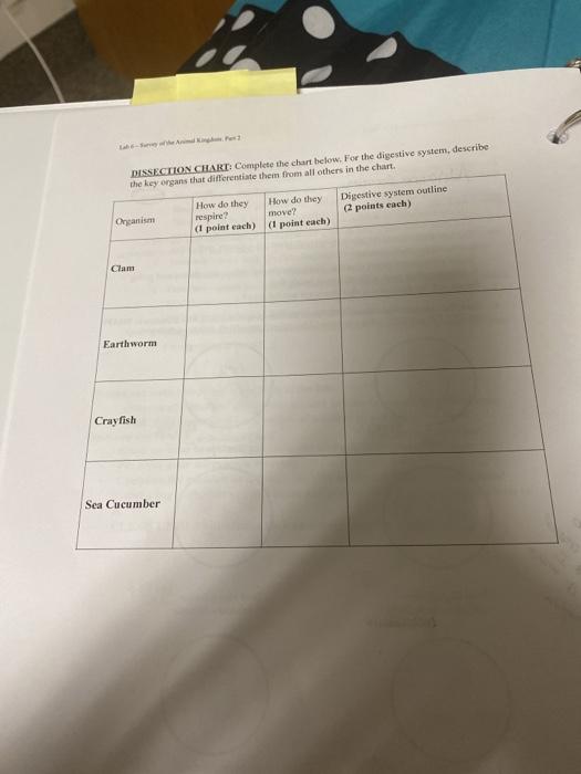 Solved DISSECTION CHART: Complete the chart below. For the | Chegg.com