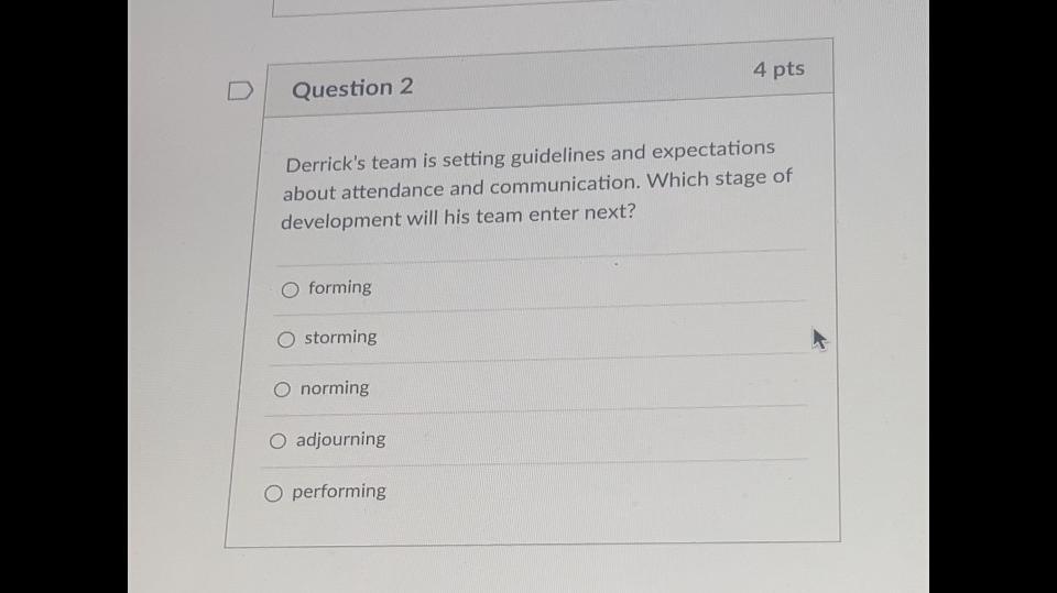 Solved Question 24 ﻿ptsDerrick's team is setting guidelines | Chegg.com