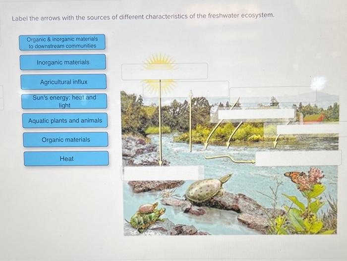 Solved label the arrows with the sources of different | Chegg.com