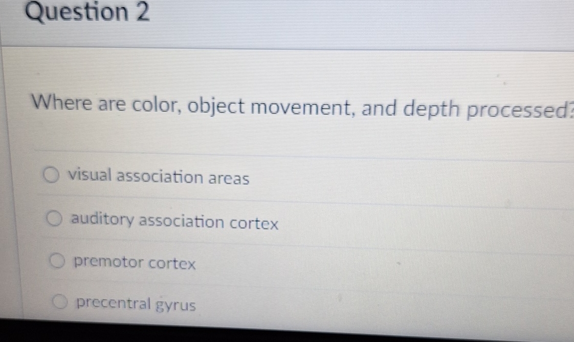 Solved Question 2Where are color, object movement, and depth | Chegg.com