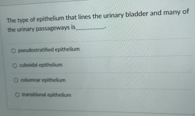 Solved The type of epithelium that lines the urinary bladder | Chegg.com