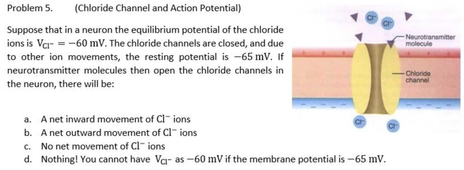 Solved Problem 5. (Chloride ﻿Channel and Action | Chegg.com
