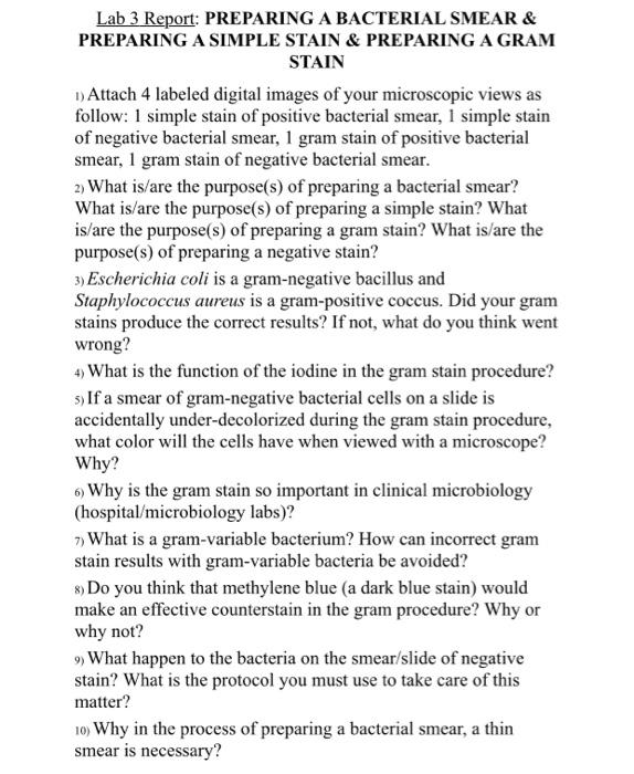 Solved Lab 3 Report: PREPARING A BACTERIAL SMEAR \& | Chegg.com