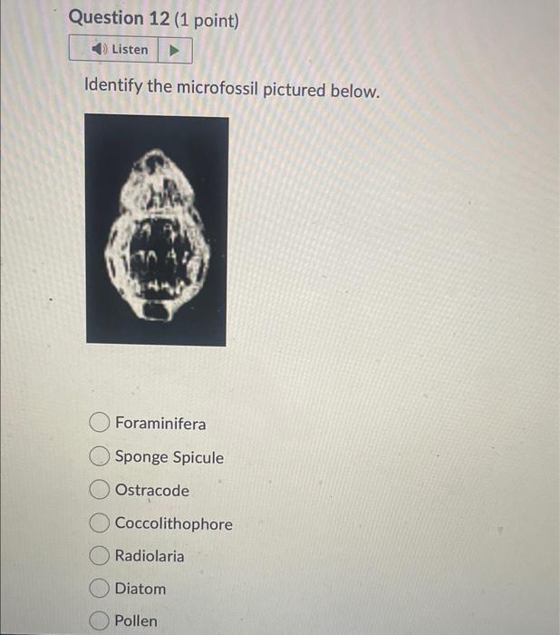 Identify the microfossil pictured below. Foraminifera | Chegg.com