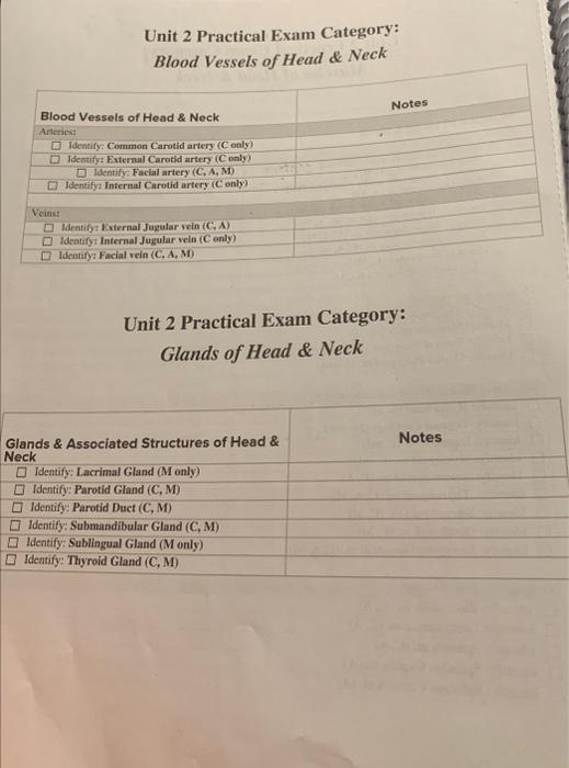 Solved Unit 2 Practical Exam Category: Skuilt Fontimelles of | Chegg.com