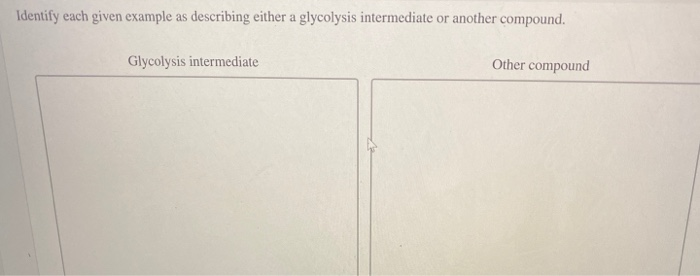 Solved Identify each given example as describing either a | Chegg.com