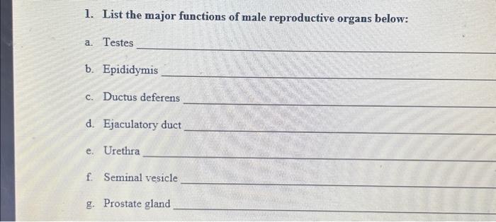 Solved 1. List the major functions of male reproductive | Chegg.com