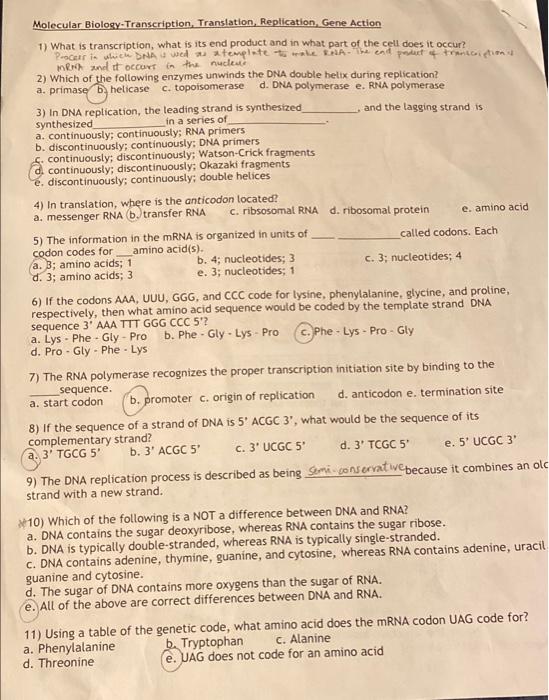 Solved Molecular Biology-Transcription, Translation, | Chegg.com