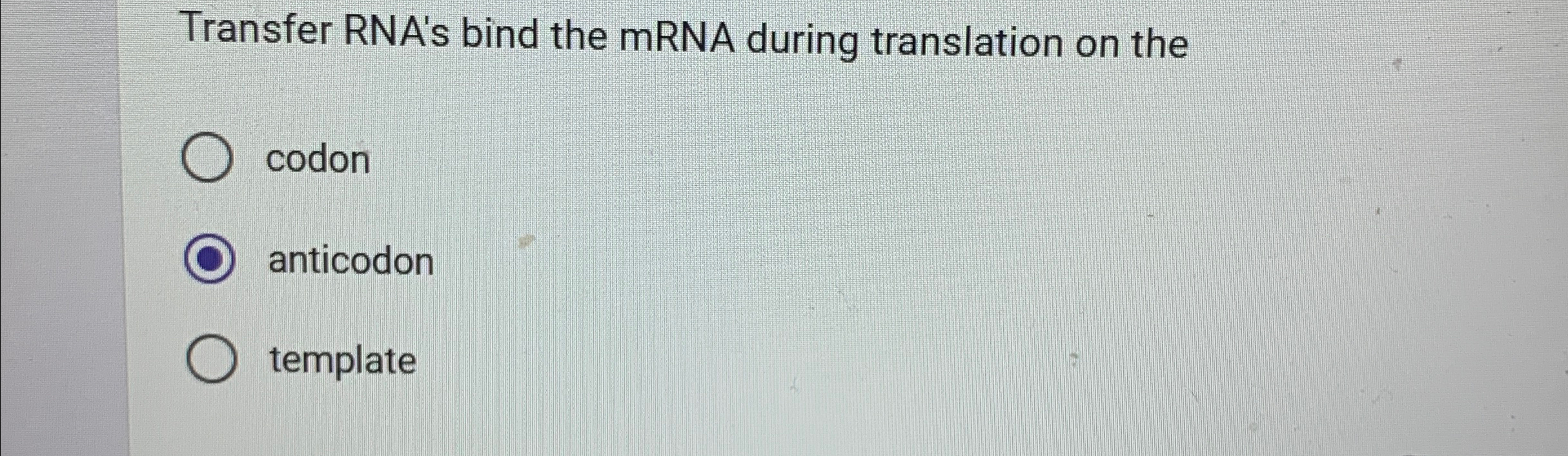 Solved Transfer RNA's bind the mRNA during translation on | Chegg.com