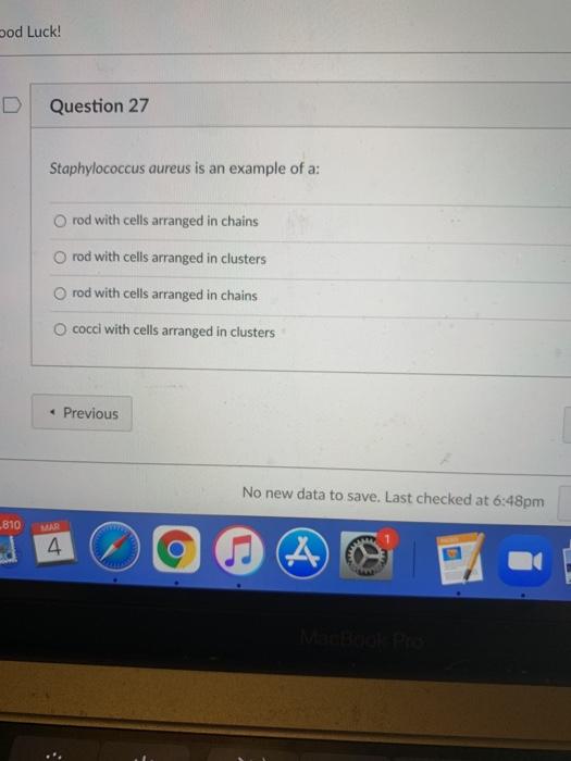 Solved bod Luck! Question 27 Staphylococcus aureus is an | Chegg.com Solved bod Luck! Question 27 Staphylococcus aureus is an | Chegg.com
