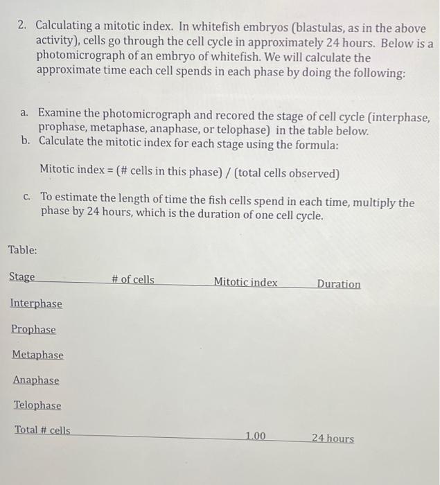Solved 2. Calculating a mitotic index. In whitefish embryos | Chegg.com