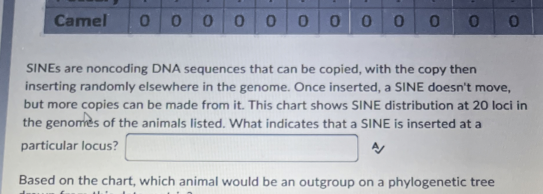 Solved SINEs are noncoding DNA sequences that can be copied, | Chegg.com