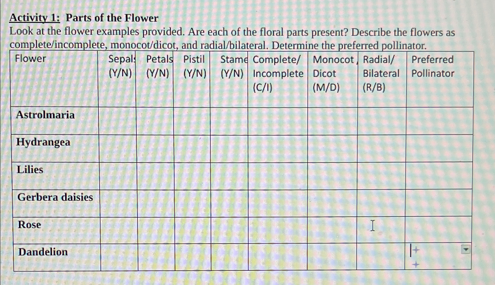 Solved Activity 1: Parts of the FlowerLook at the flower | Chegg.com