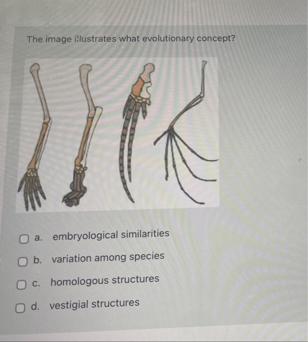 Solved The image illustrates what evolutionary concept? a. | Chegg.com
