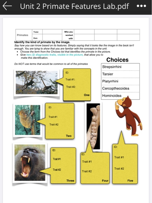 Solved { k Unit 2 Primate Features Lab.pdf Who you Primates | Chegg.com