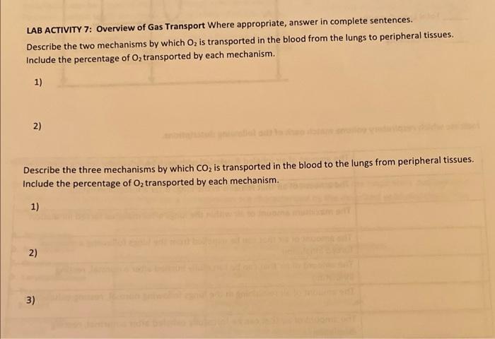 Solved LAB ACTIVITY 7: Overview of Gas Transport Where | Chegg.com