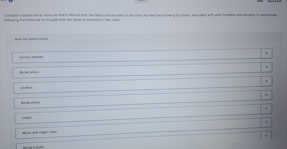 Solved Consider a blood-borne molecule that is filtered from | Chegg.com