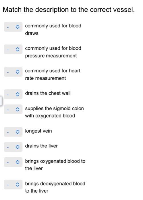 Solved Use the images below to match the descriptions to the | Chegg.com