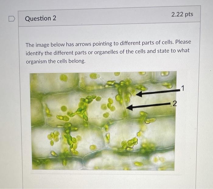Solved The image below has arrows pointing to different | Chegg.com
