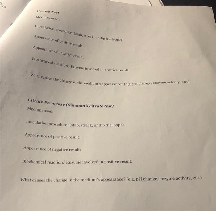 Solved 2000 Urease Test Medium used: Inoculation procedure: | Chegg.com
