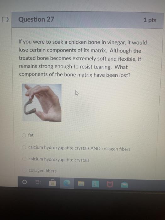 Solved Question 27 1 pts If you were to soak a chicken bone | Chegg.com
