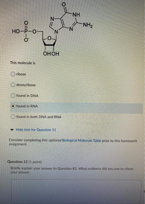 Solved NH NH2 N HO-P-O- O-U=O O ОНОН This molecule is ribose | Chegg.com