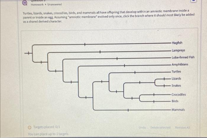 Solved Click on the species, or multiple species, that are | Chegg.com