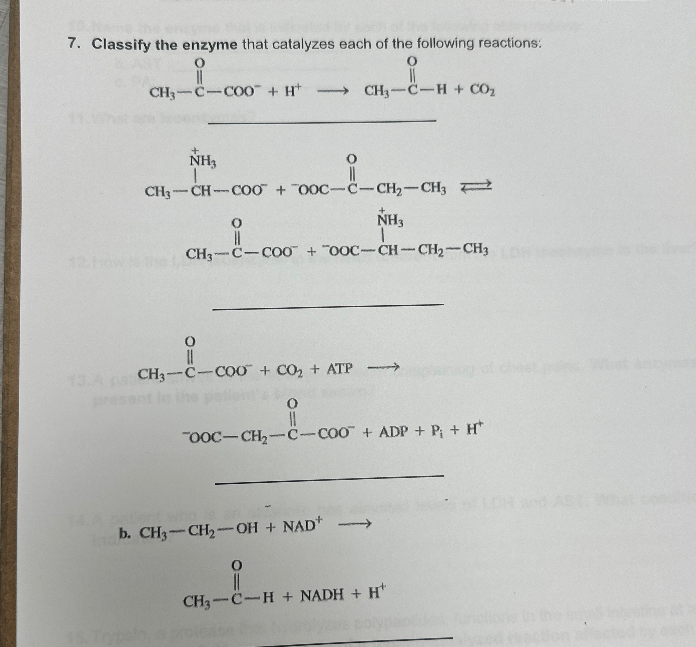 Solved Classify the enzyme that catalyzes each of the | Chegg.com