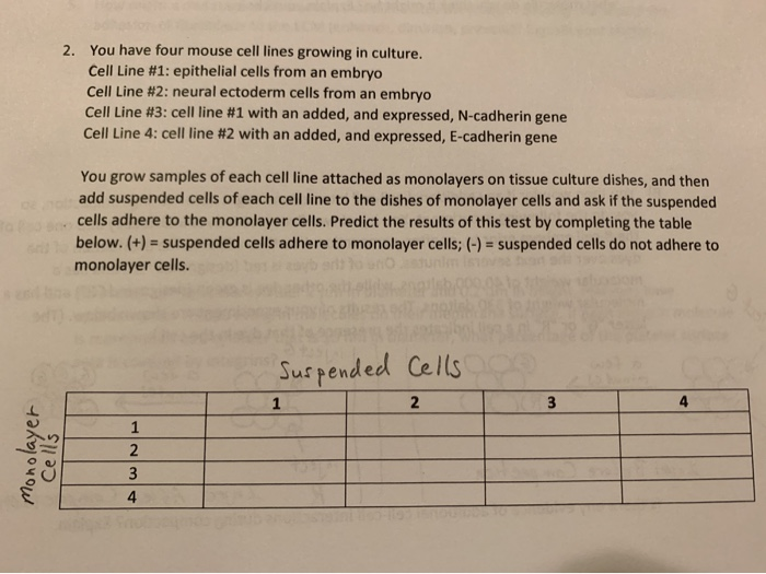 Solved 2. You have four mouse cell lines growing in culture. | Chegg.com