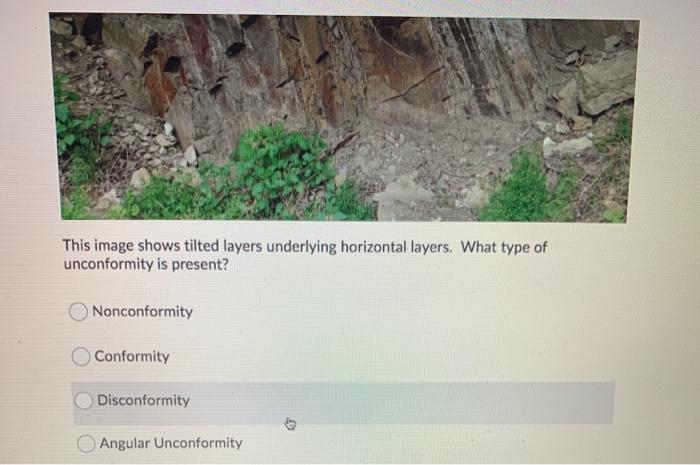 Solved Question 31 (1 point) In an undeformed rock sequence, | Chegg.com