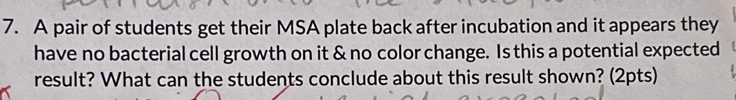 Solved A pair of students get their MSA plate back after | Chegg.com