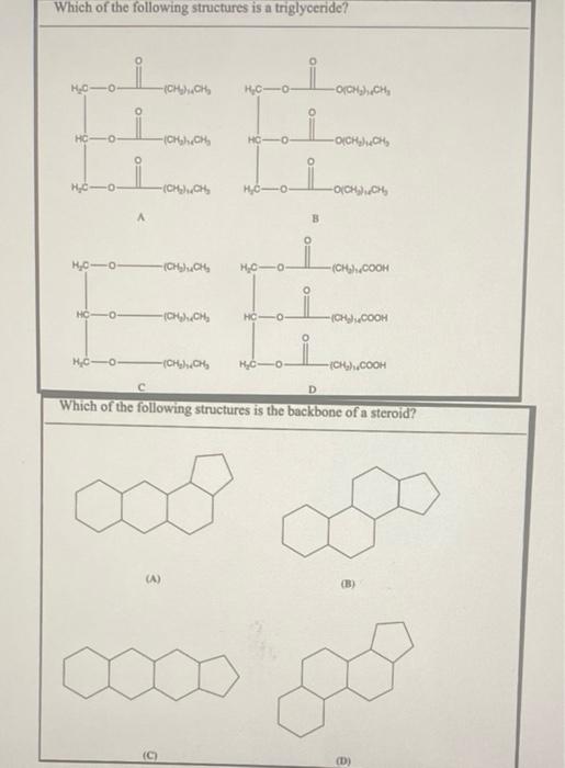 Solved Which of the following structures is the backbone of | Chegg.com
