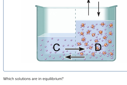 Solved Which solutions are in equilibrium? | Chegg.com