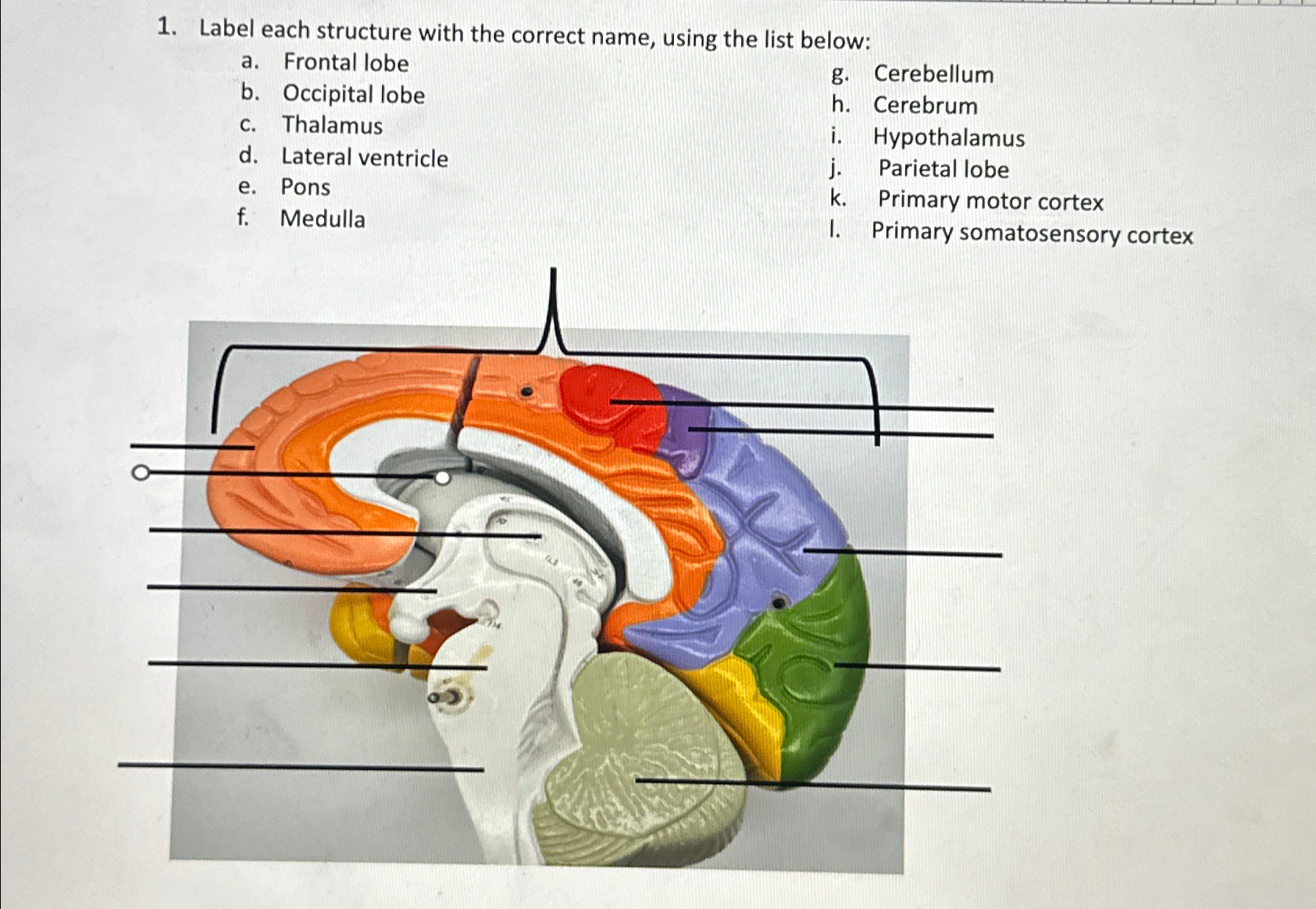 Solved Label each structure with the correct name, using the | Chegg.com